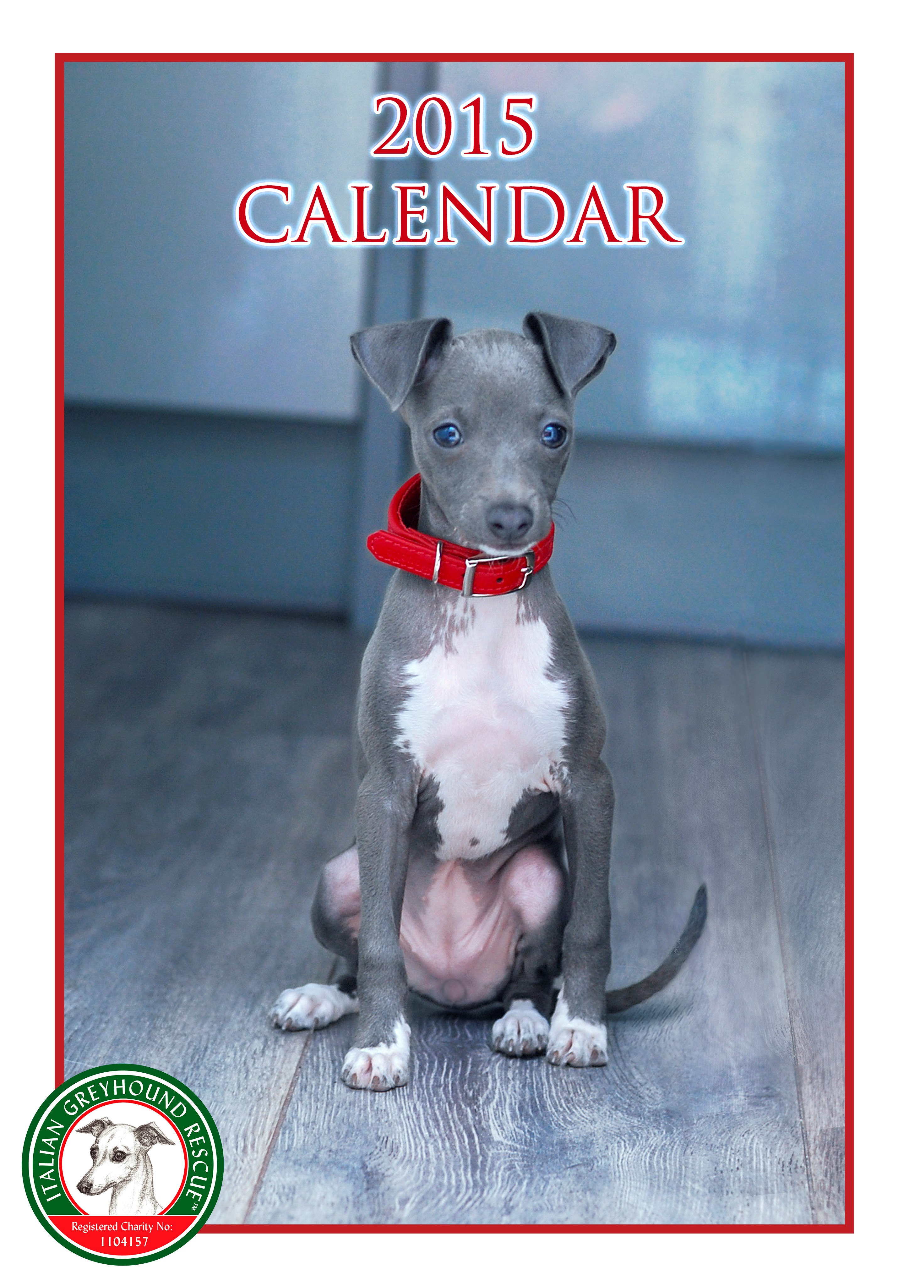 Front2015 – The Italian Greyhound Rescue Charity